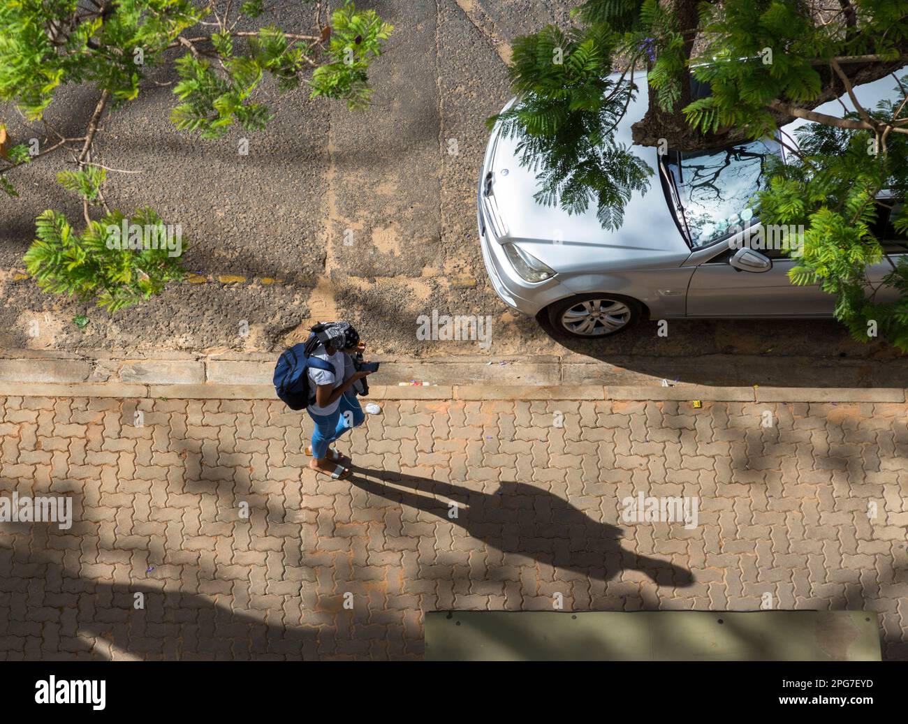 Overhead view of a pedestrian walking on a tree-lined suburban pavement ...
