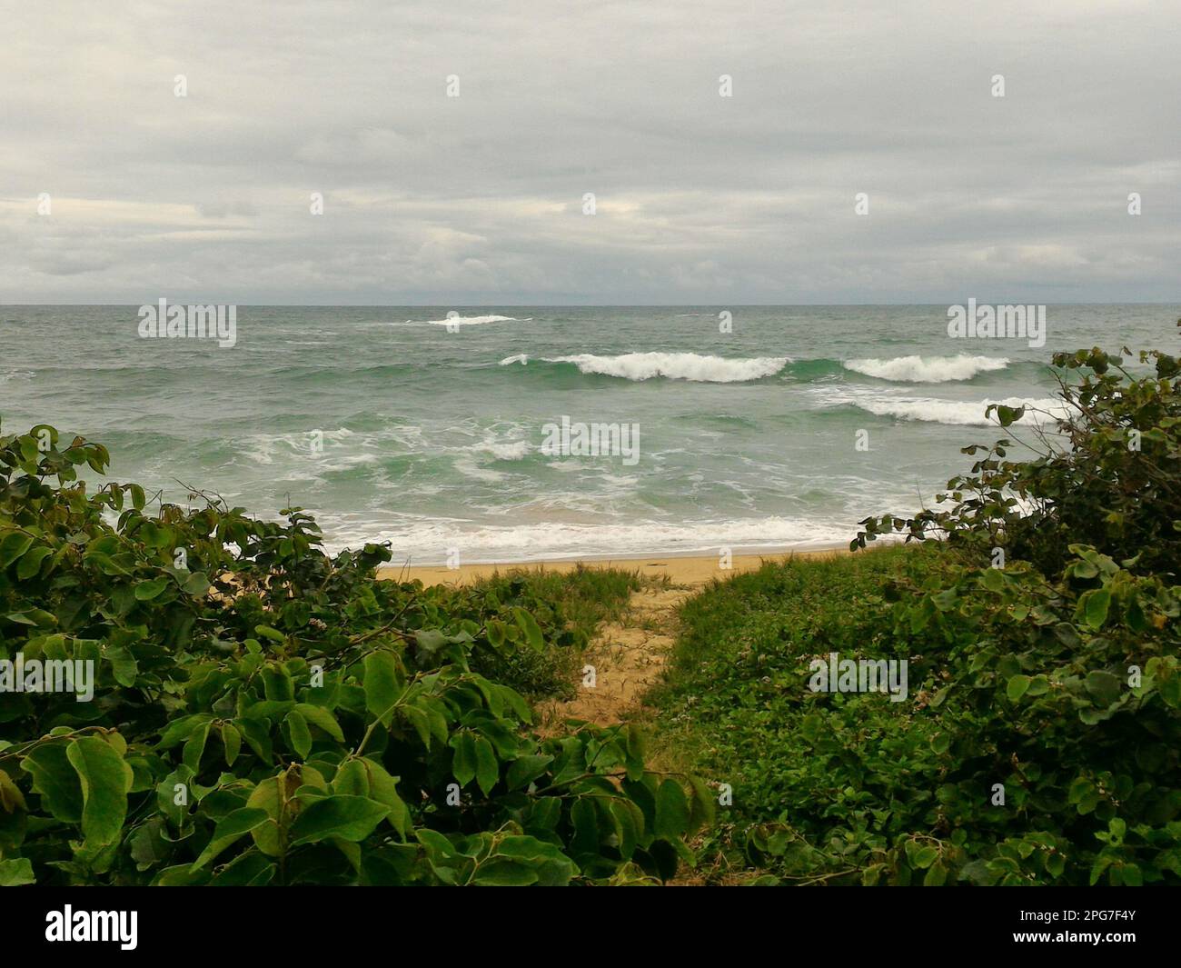 A picturesque beach scene featuring lush, green vegetation along the ...