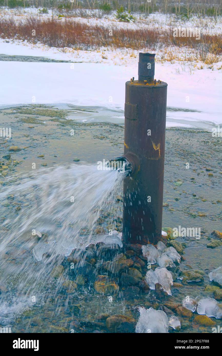 Water gushes (leaky cap) from an artesian well enclosed in a pipe ...