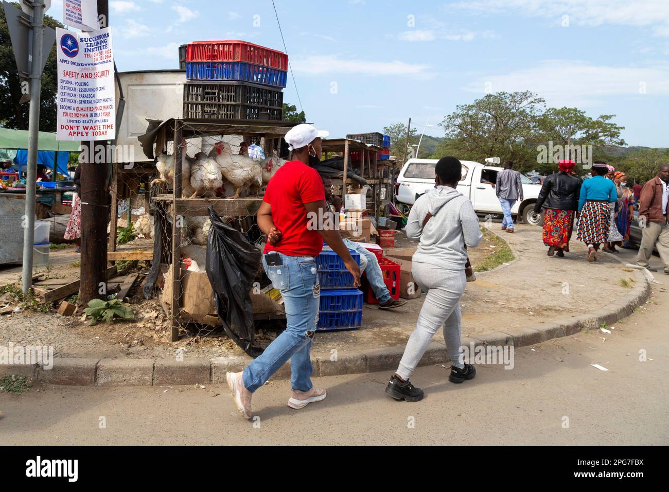 Urban chicken coup hi-res stock photography and images - Alamy