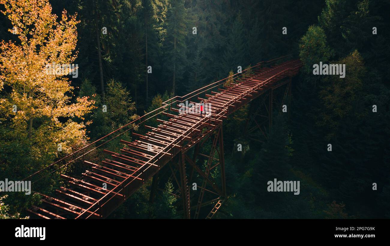 Person on top of an old railway bridge in a forest in Saxony, Germany ...