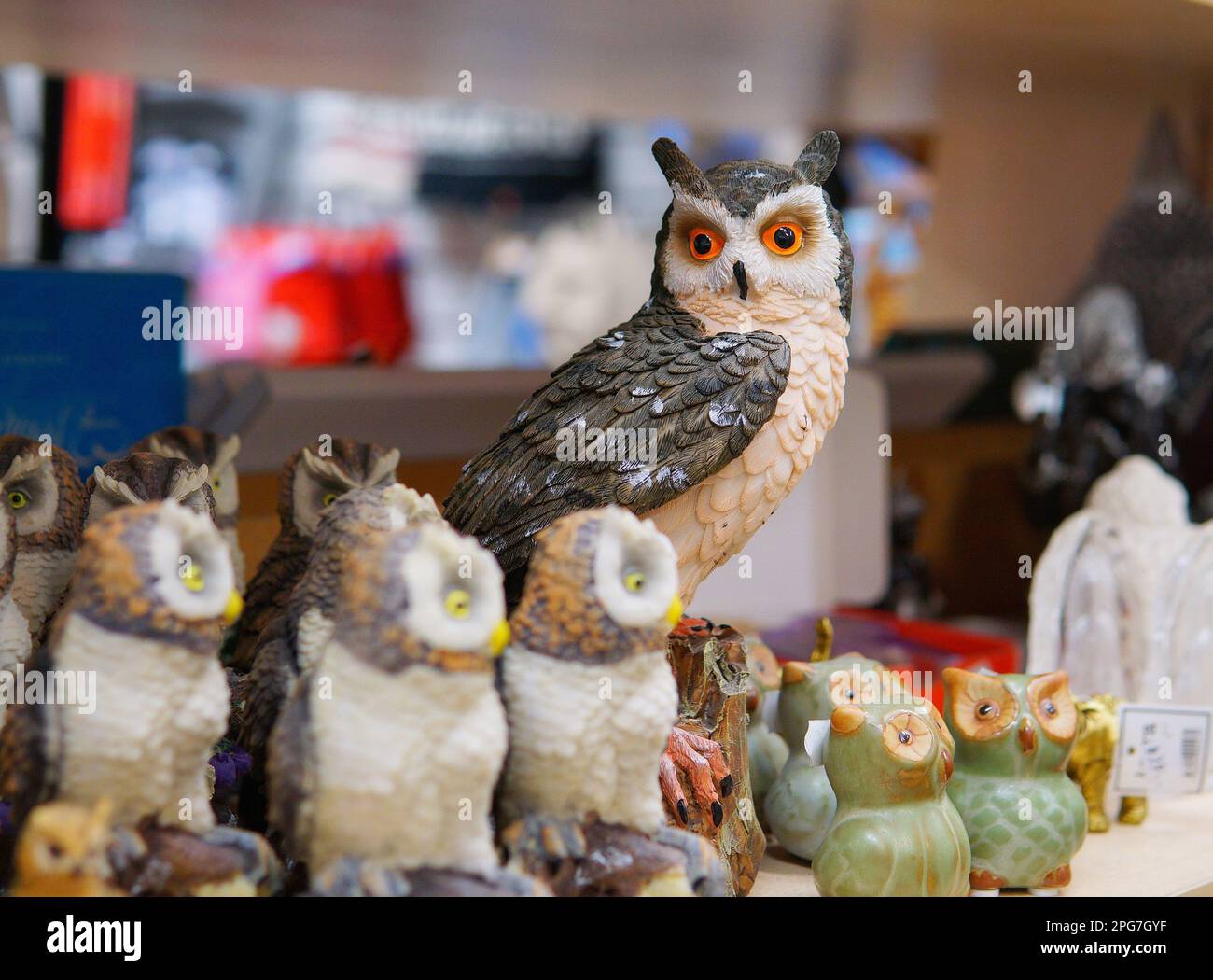 An arranged collection of owls and other birds in an antique shop ...
