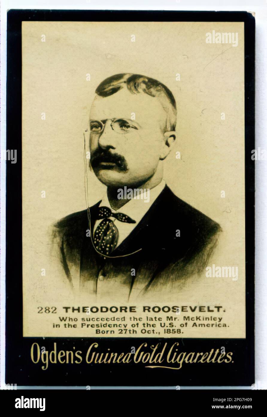 Portrait of Theodore Roosevelt - Vintage Guinea Gold Cigarette Card ...