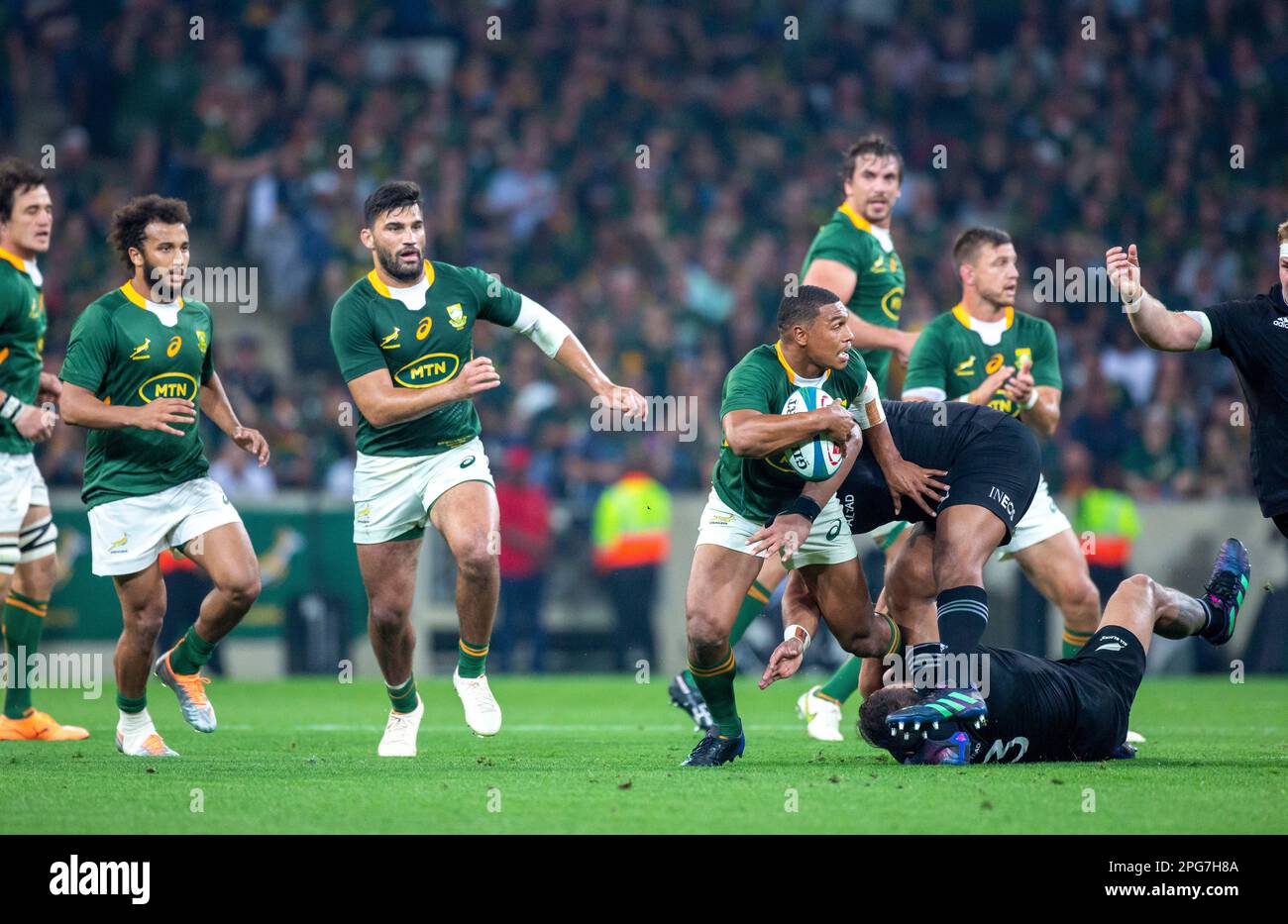 Springbok Rugby Logo 2022