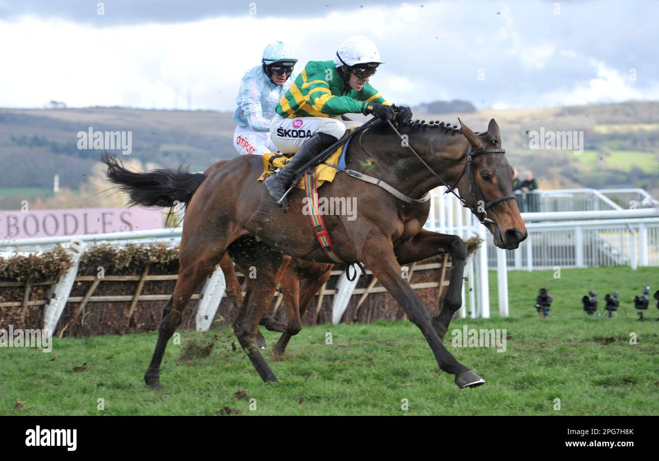 Zenta racecourse hi-res stock photography and images - Alamy