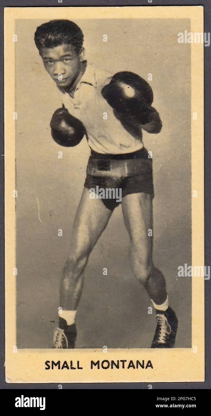 Portrait of Boxer, Small Montana - Vintage Tradecard Stock Photo - Alamy