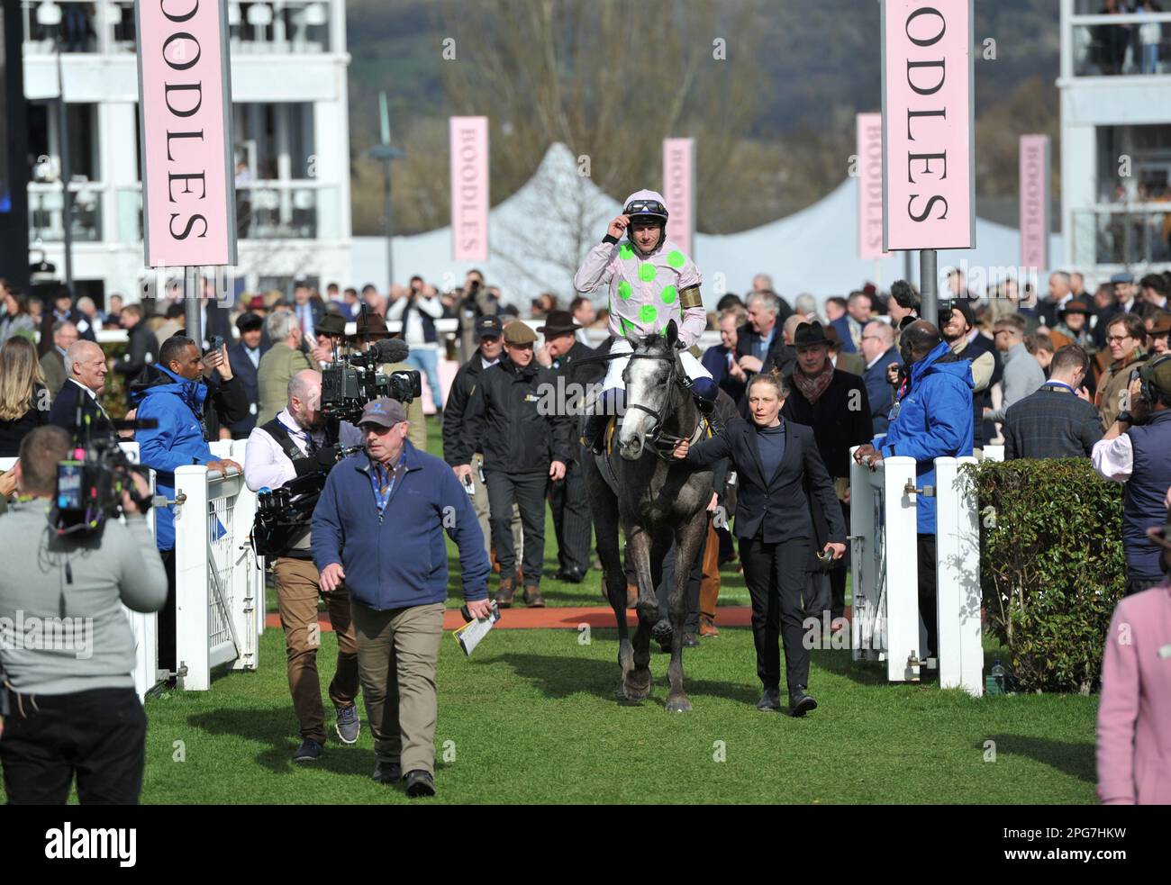 Lossiemouth horse hi-res stock photography and images - Alamy