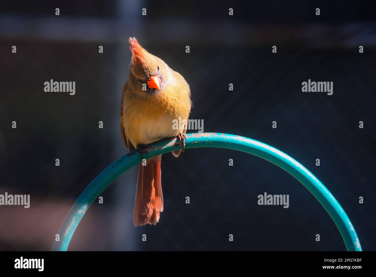 Outsideactivities hi-res stock photography and images - Alamy