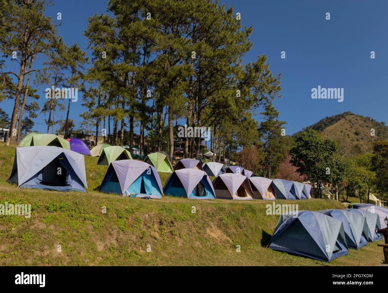 Mai mai camp hi-res stock photography and images - Alamy