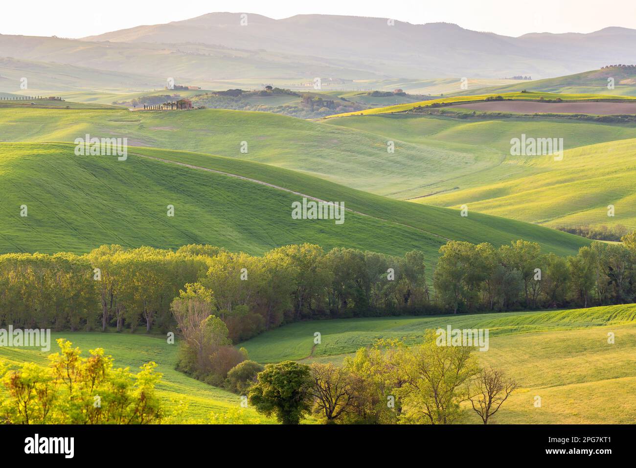 Rolling landscape fields trees hi-res stock photography and images - Alamy