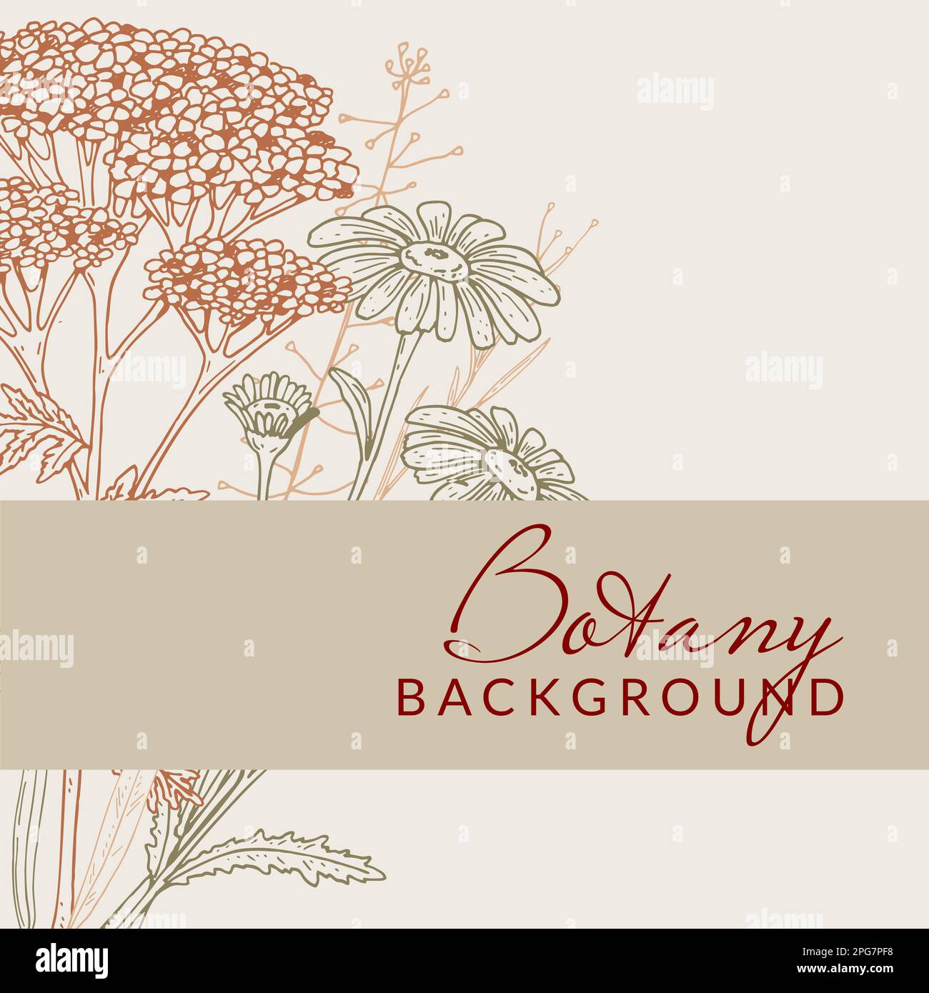 Meadow flowers social media square post template. Hand drawn field ...