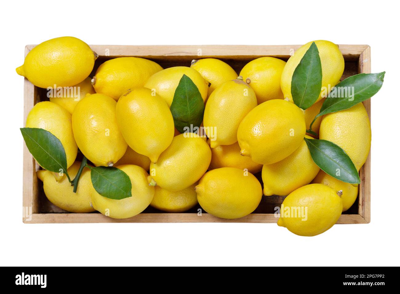fresh lemons with leaves in a wooden box isolated on white background ...