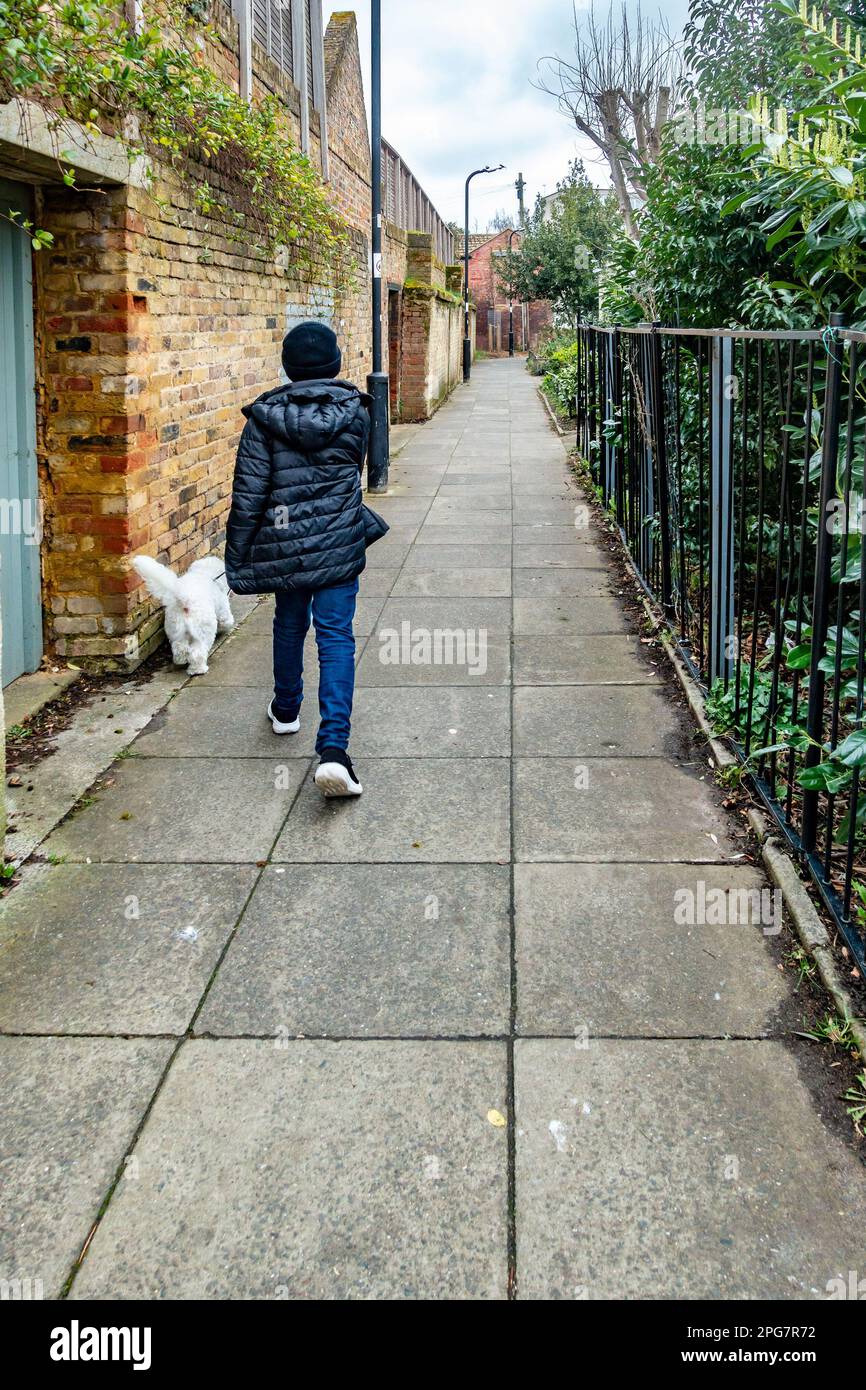 Boy walking pet dog down alleyway Stock Photo - Alamy