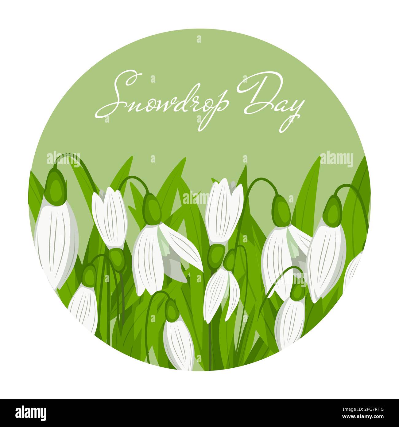 Snowdrop Day card, round frme isolated on white background. Vector ...