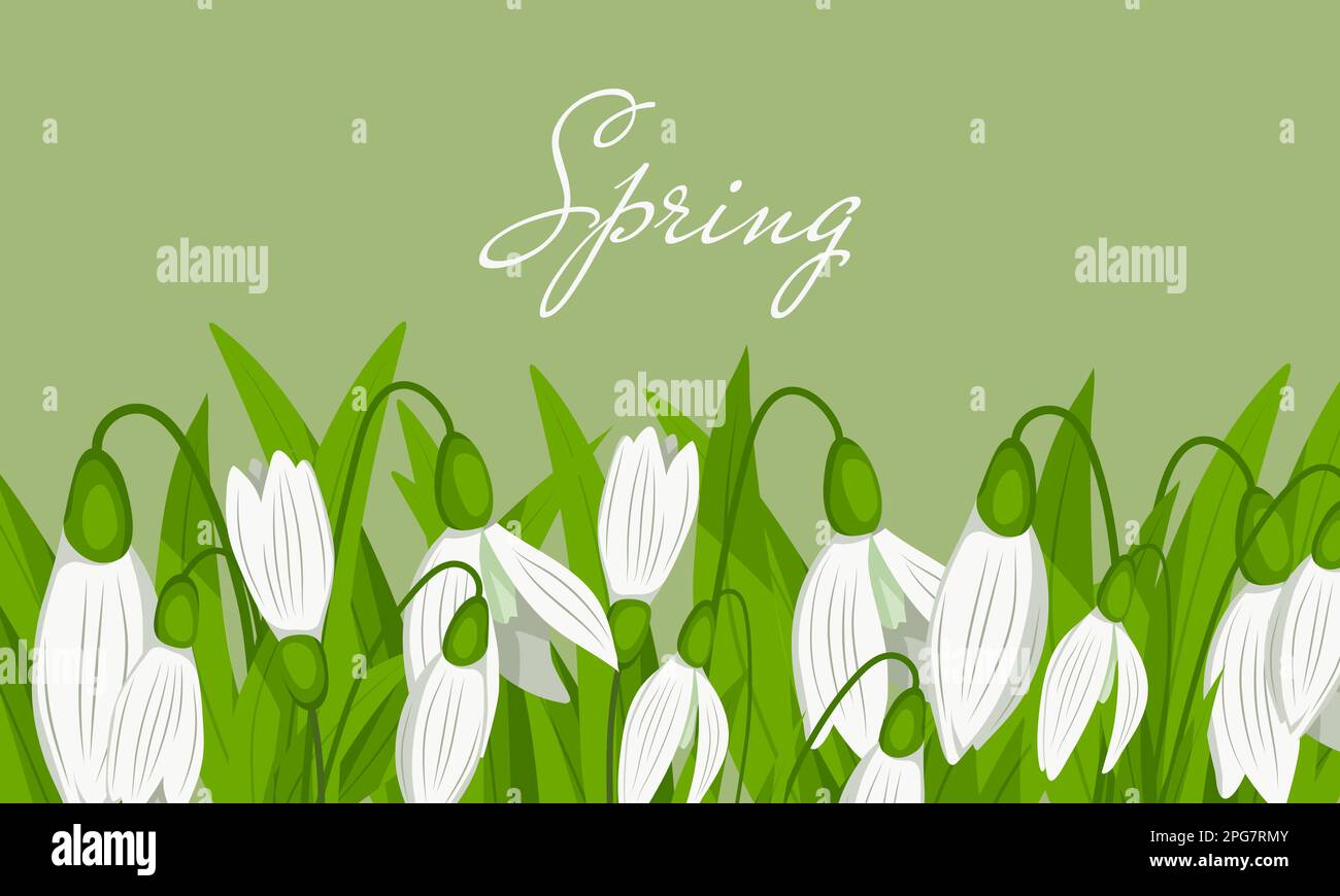 Banner with Snowdrop icons isolated on green background. Spring time ...