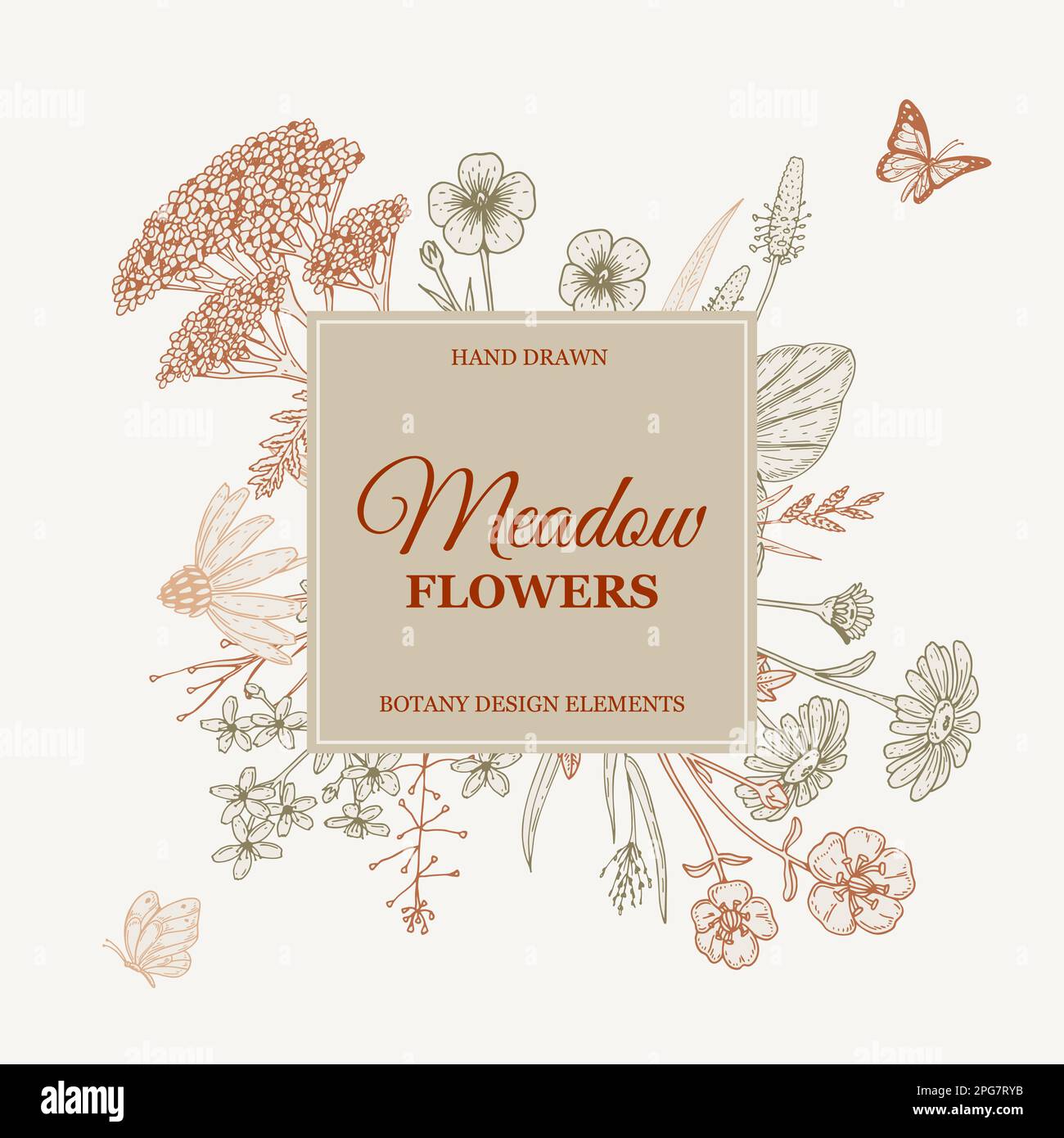 Meadow flowers frame. Hand drawn field wildflowers border. Vector ...