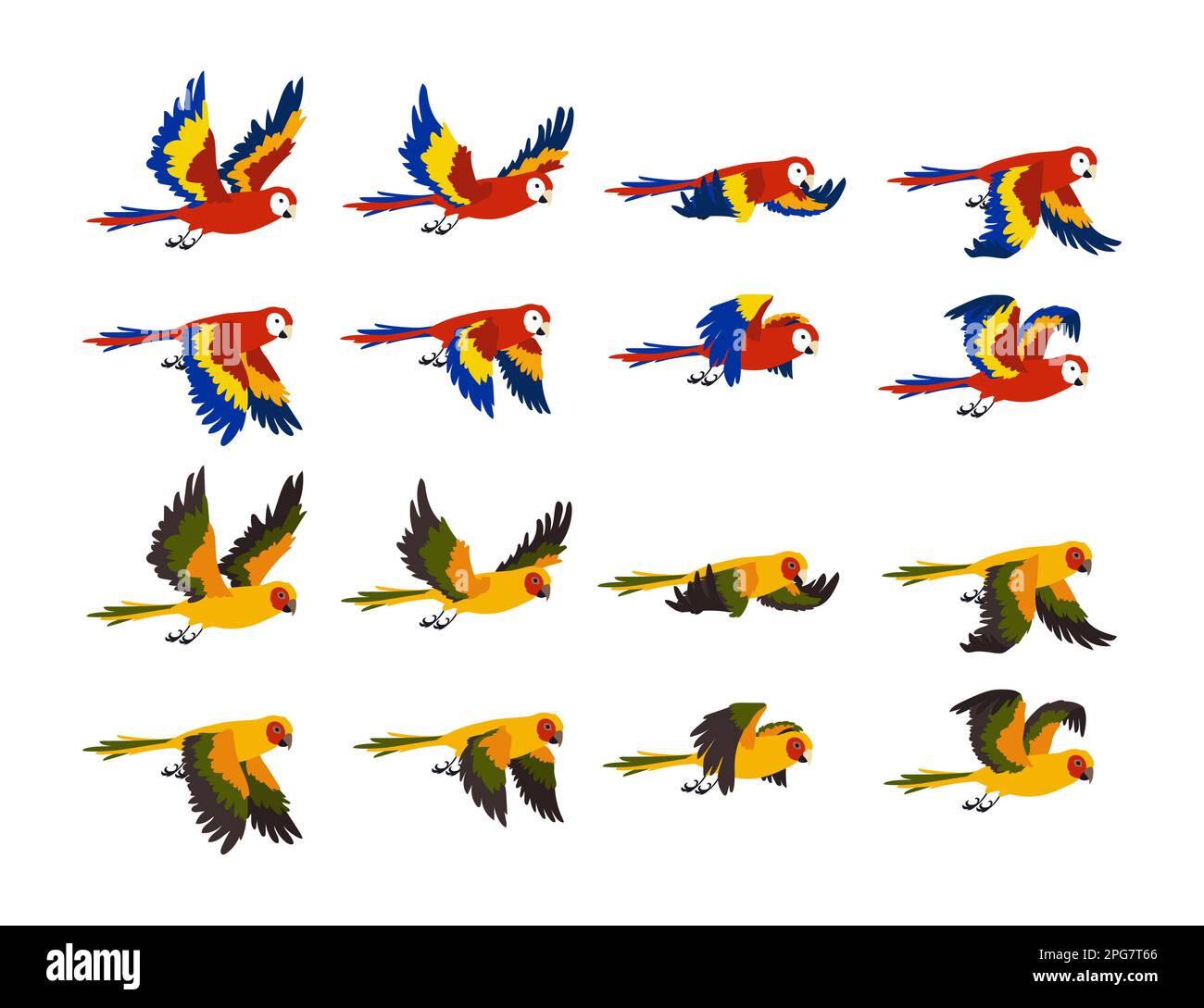 Colorful tropical parrots flying cartoon illustration set Stock Vector ...