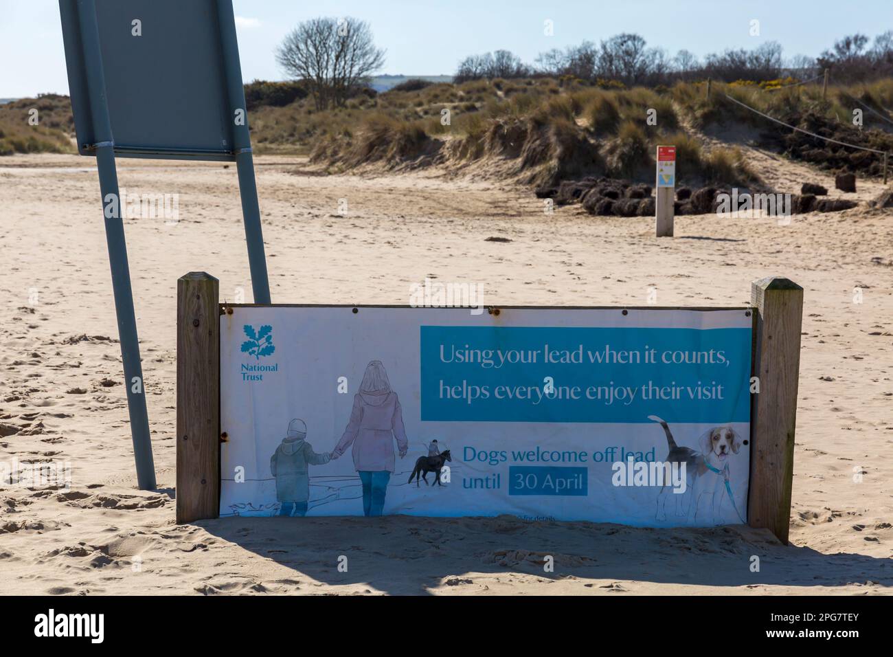 Using your lead when it counts helps everyone enjoy their visit dogs ...