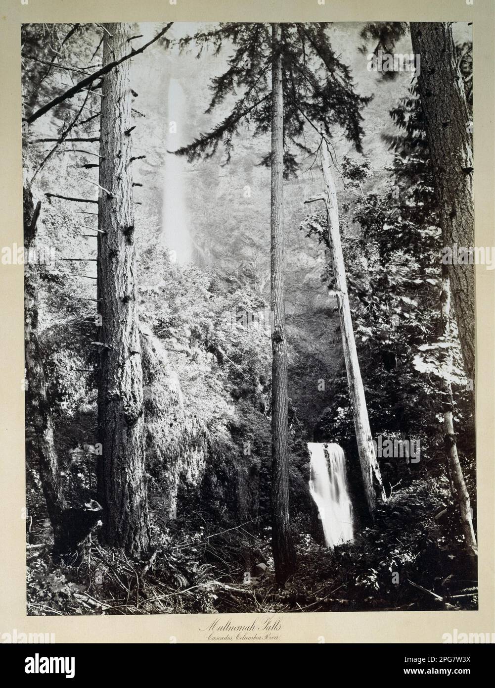 Multnomah Falls, Cascades, Columbia River 1867 by Carleton E. Watkins ...