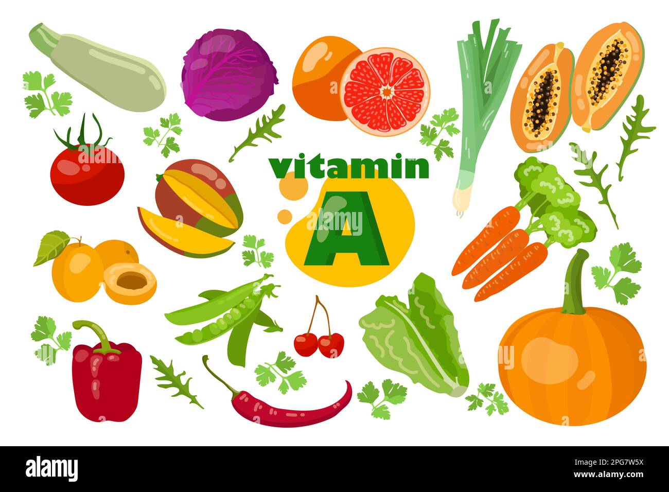 Vitamin A-enriched vegetable cartoon illustration set Stock Vector ...