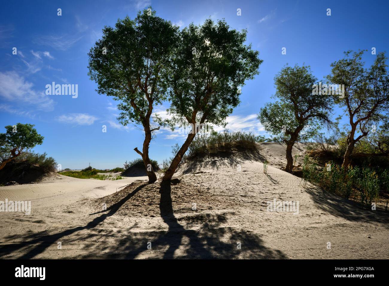 The roots of Lop Nur people can be traced back thousands of years. They ...