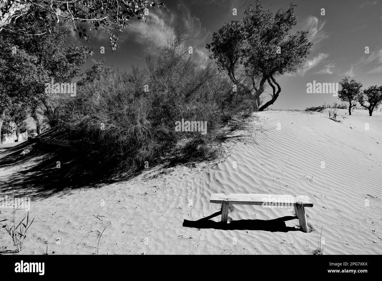 Lop desert Black and White Stock Photos & Images - Alamy