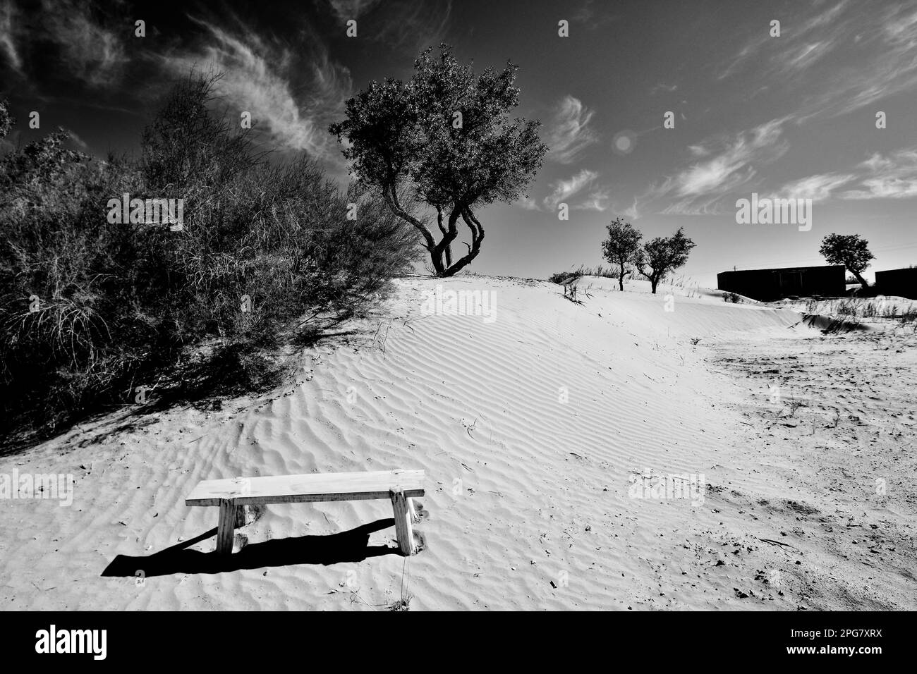 The roots of Lop Nur people can be traced back thousands of years. They ...