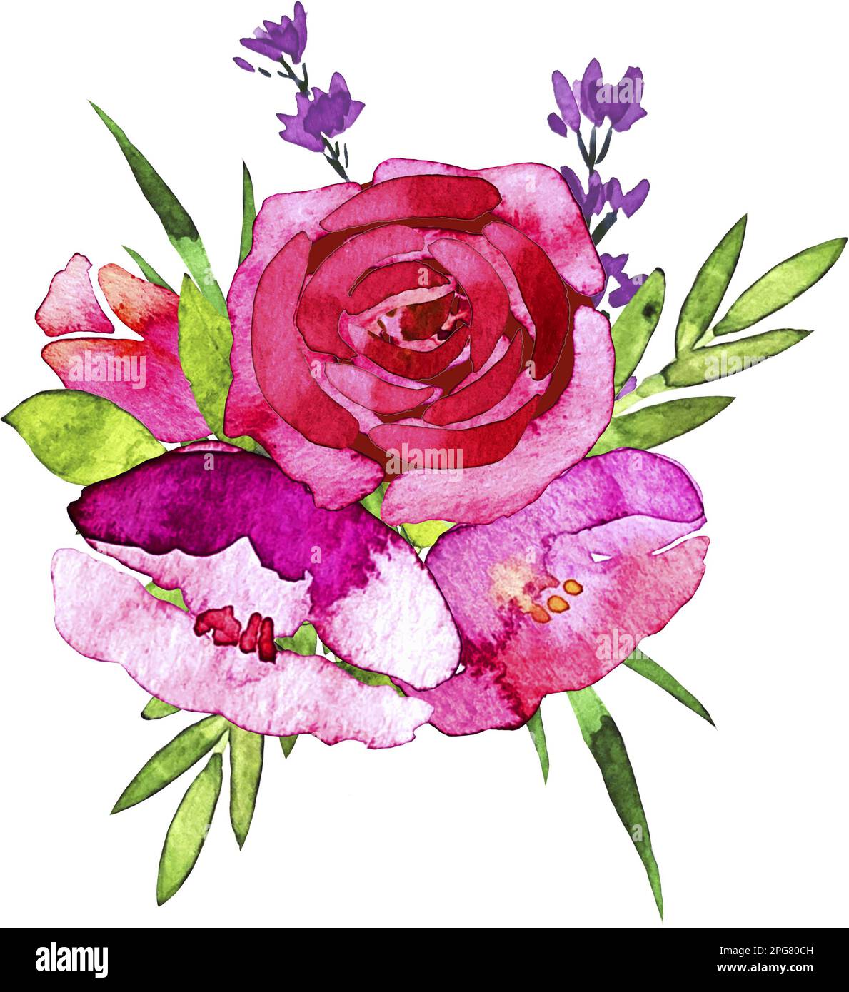 Hand drawn watercolor flower bouquet of pink roses, poppy Stock Photo ...