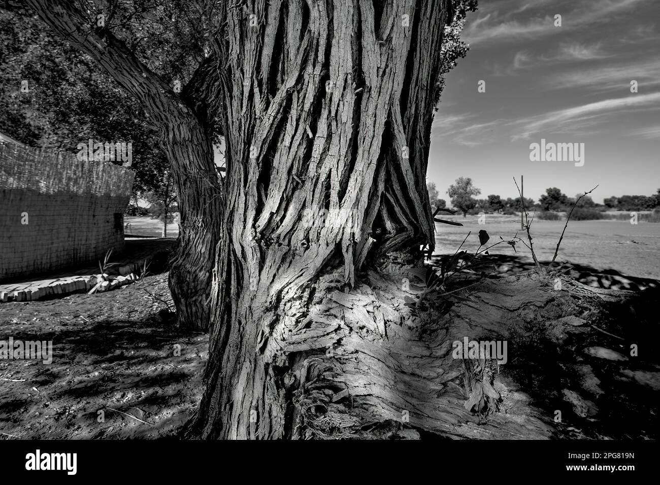The roots of Lop Nur people can be traced back thousands of years. They ...