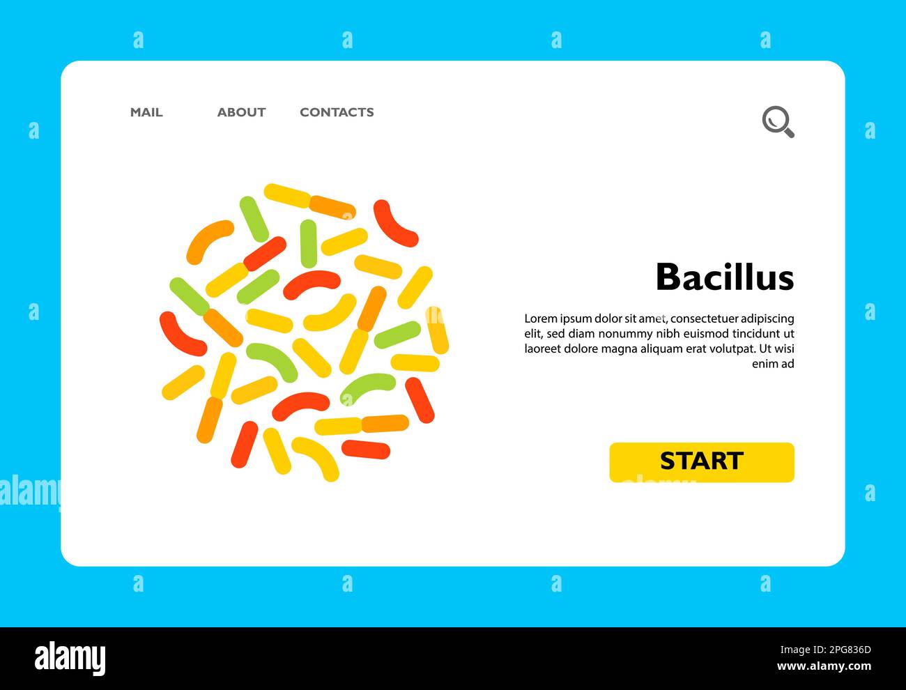 Bacillus Vector Icon Stock Vector Image & Art - Alamy