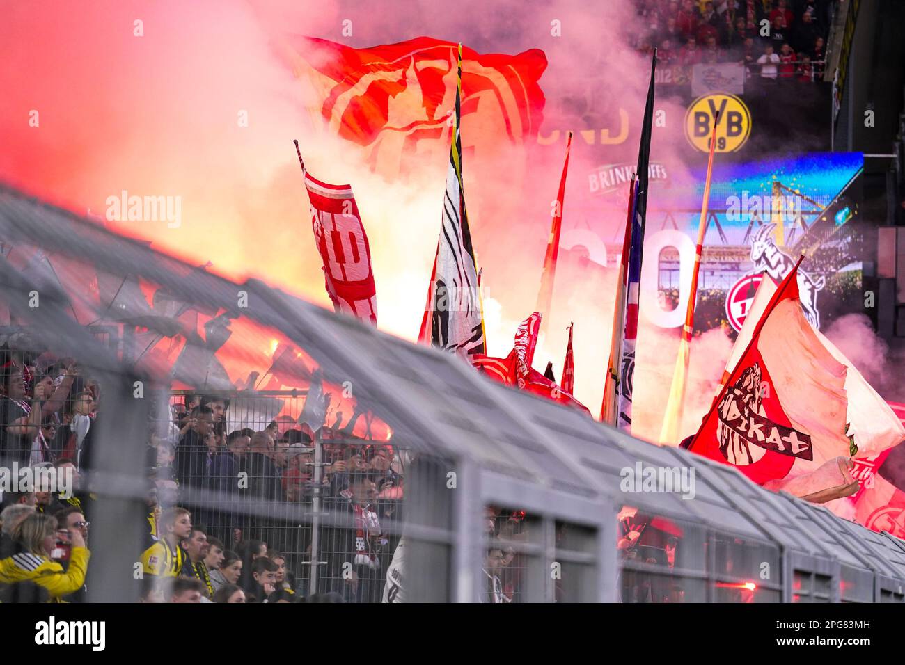 DORTMUND, GERMANY - MARCH 18: Fans and supporters of 1. FC Köln during ...