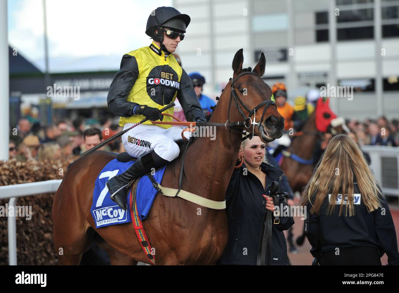 Tom cannon horse hi-res stock photography and images - Alamy