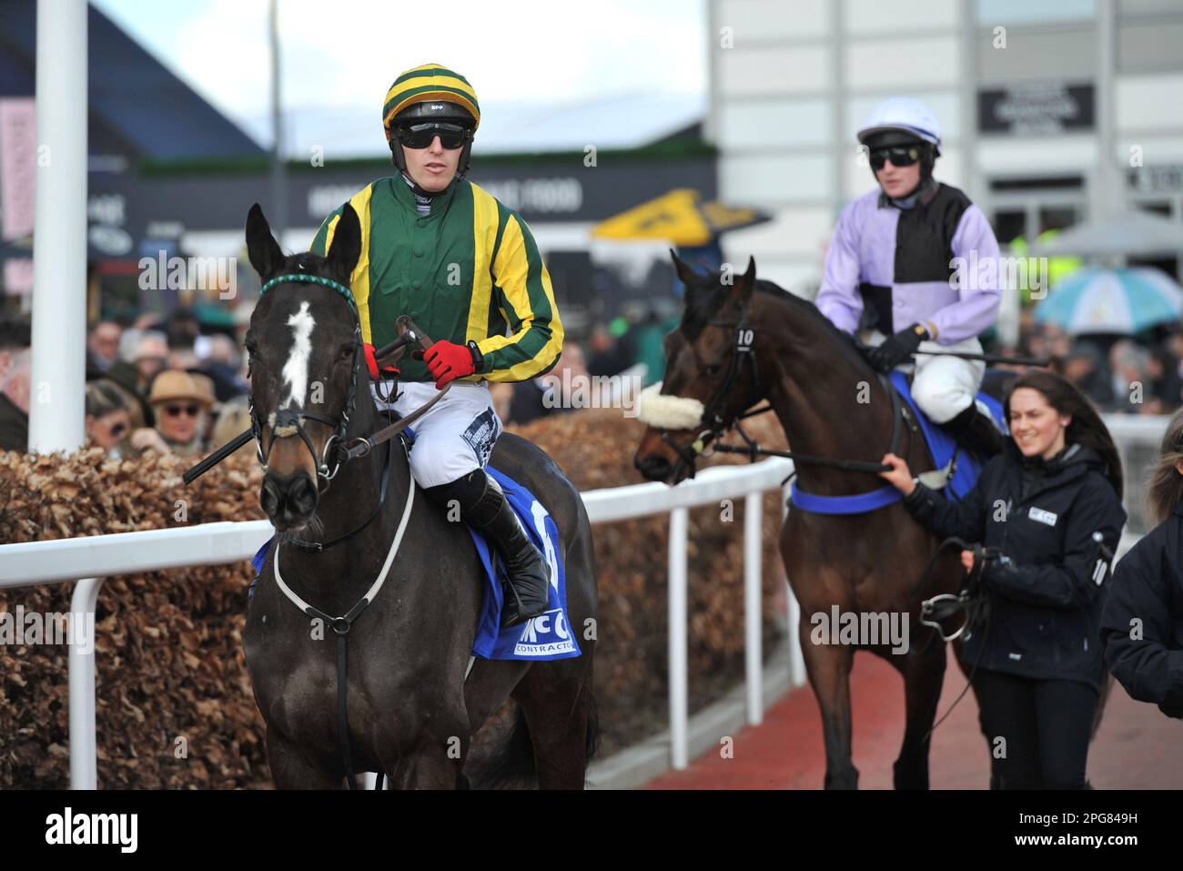 Path doroux horse hi-res stock photography and images - Alamy