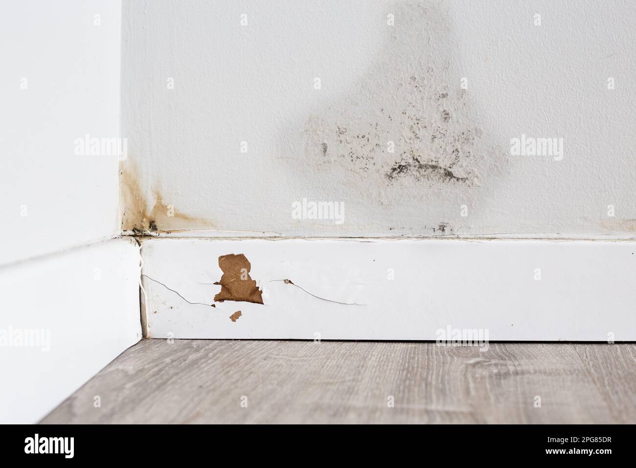 problems of dampness in the wall and floor of a house. Repair for ...