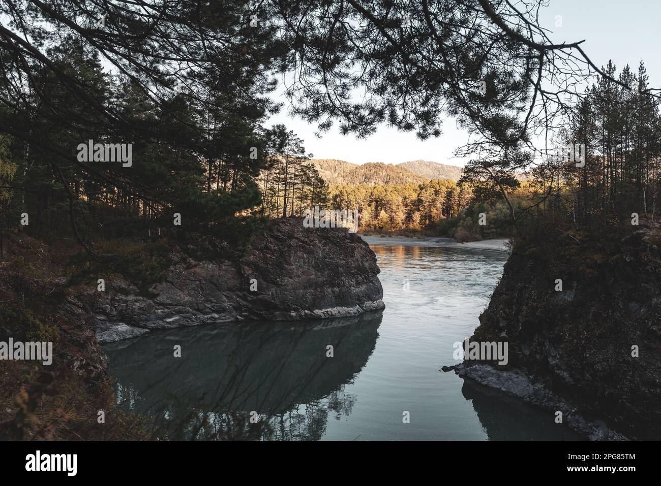 The picturesque bay of the mountain river Katun near the stone banks ...