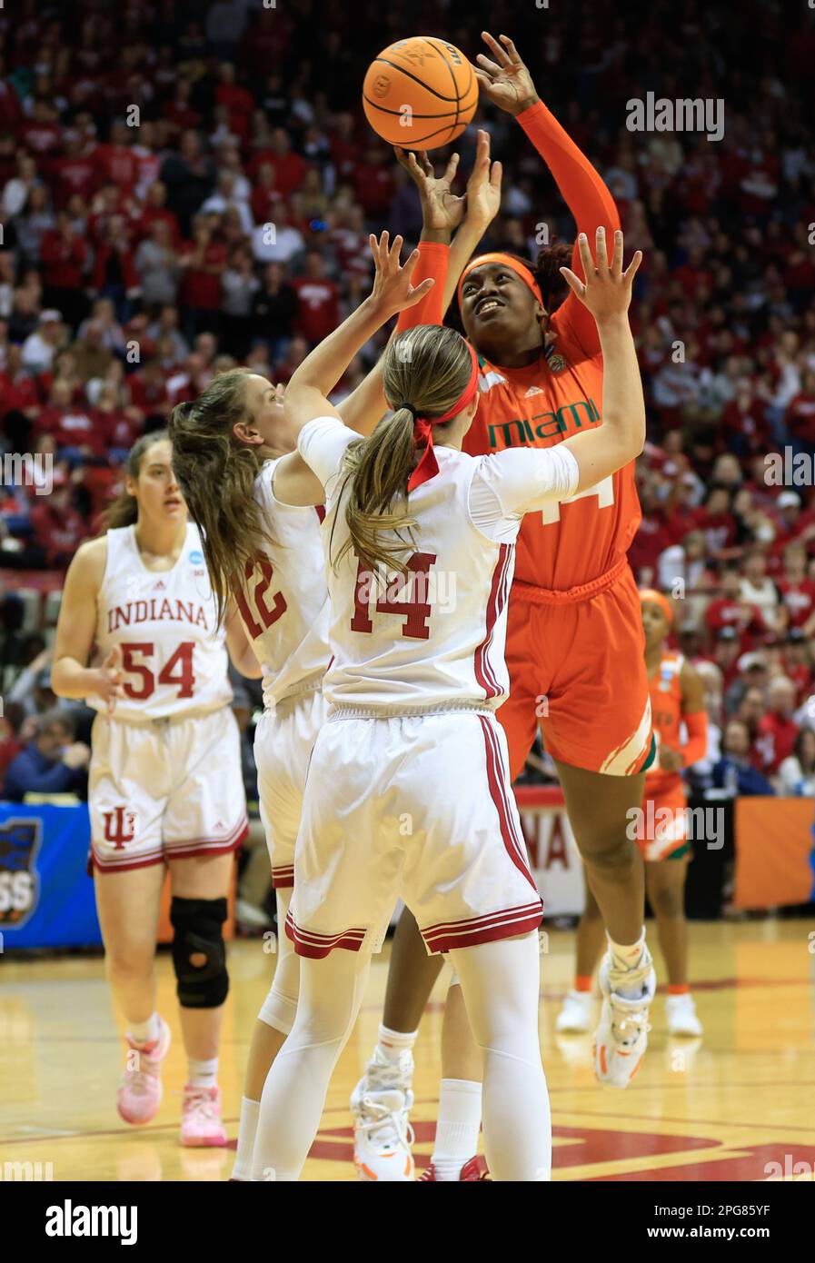 Kyla oldacre hi-res stock photography and images - Alamy