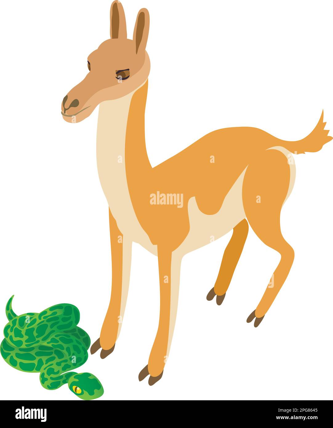 Wild animal icon isometric vector. Young alpaca animal near big green ...