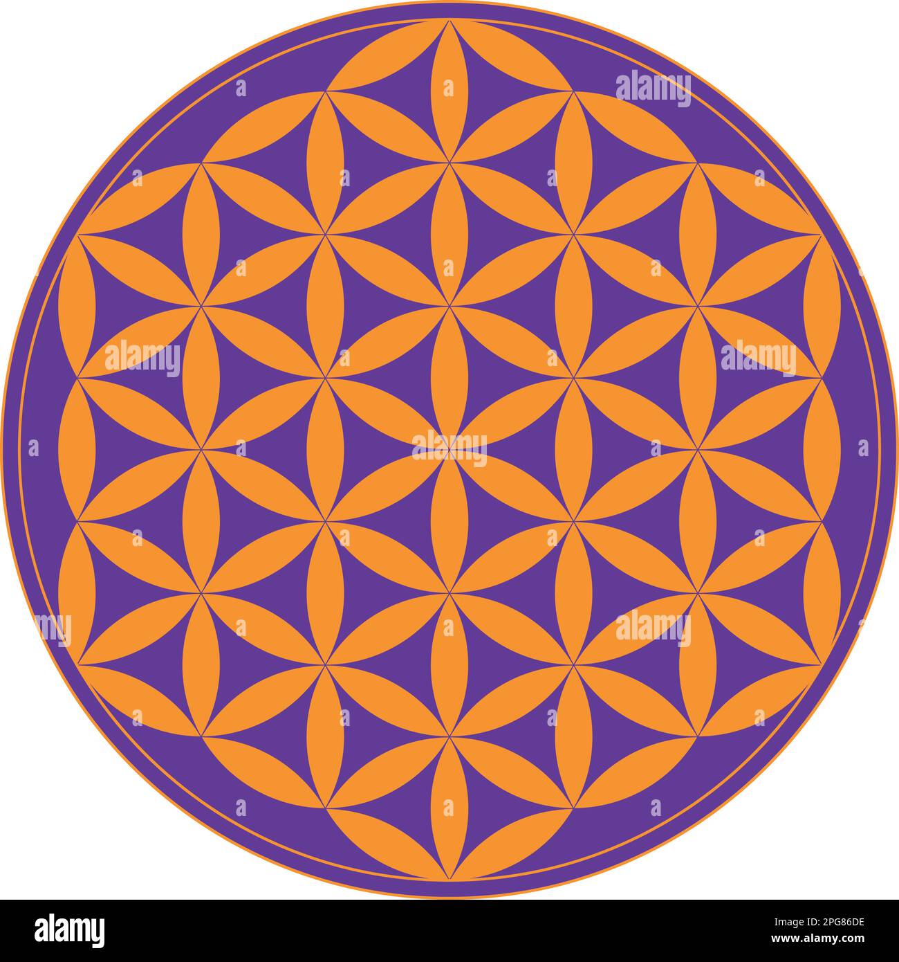 Colorful geometrical figure. Sacred Geometry Flower of Life vector ...