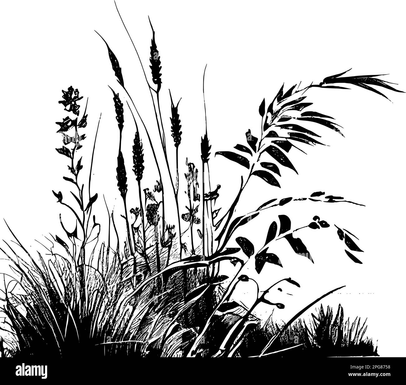 A pond near the park Stock Vector Images - Alamy