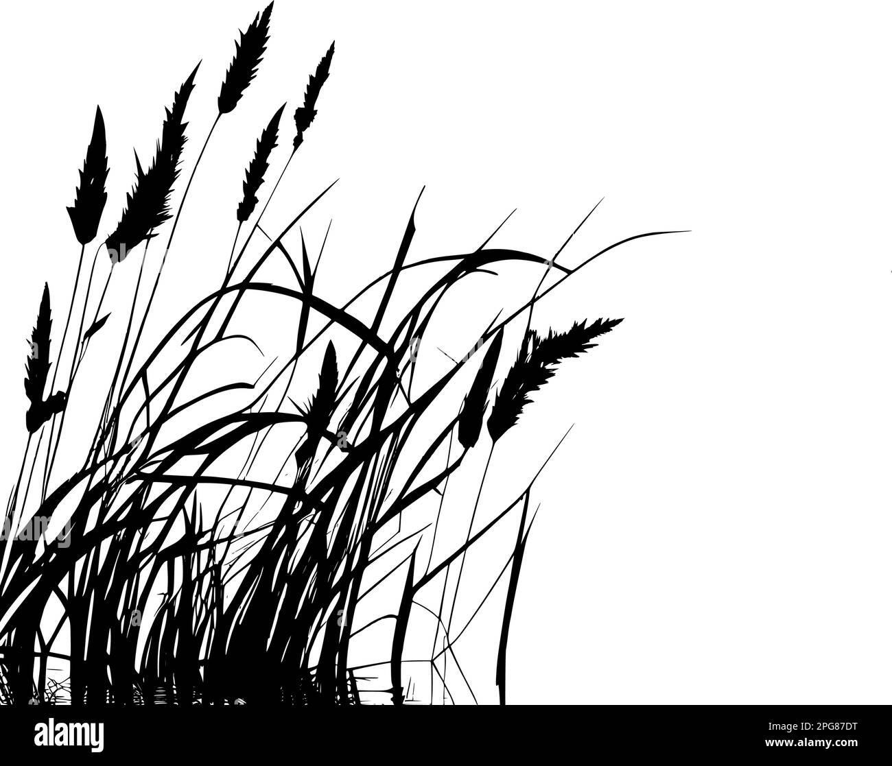 A pond near the park Stock Vector Images - Alamy