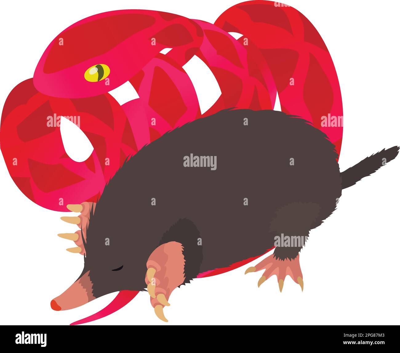 Wild world icon isometric vector. Black mole animal near bright red ...