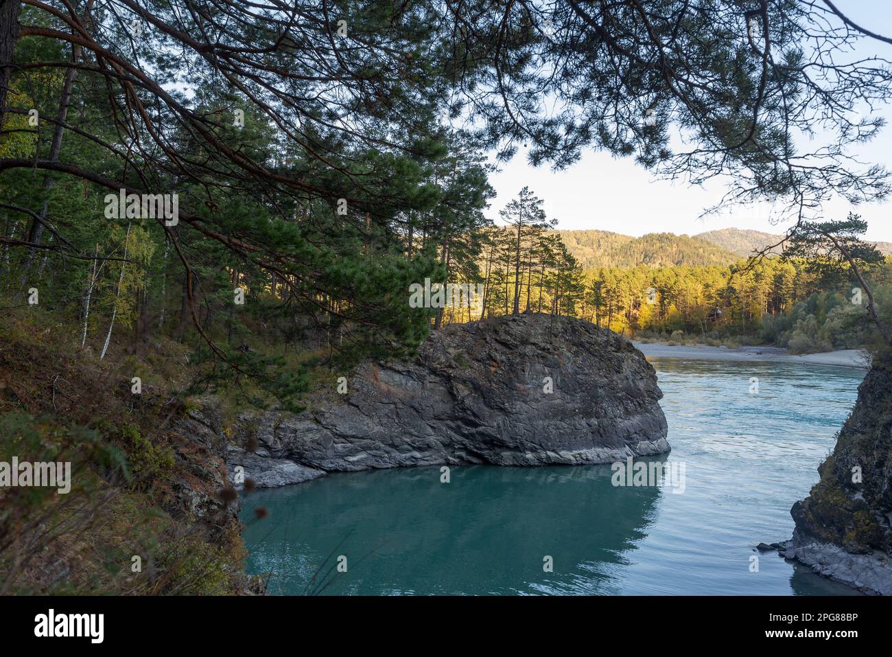 The picturesque bay of the mountain river Katun near the stone banks ...