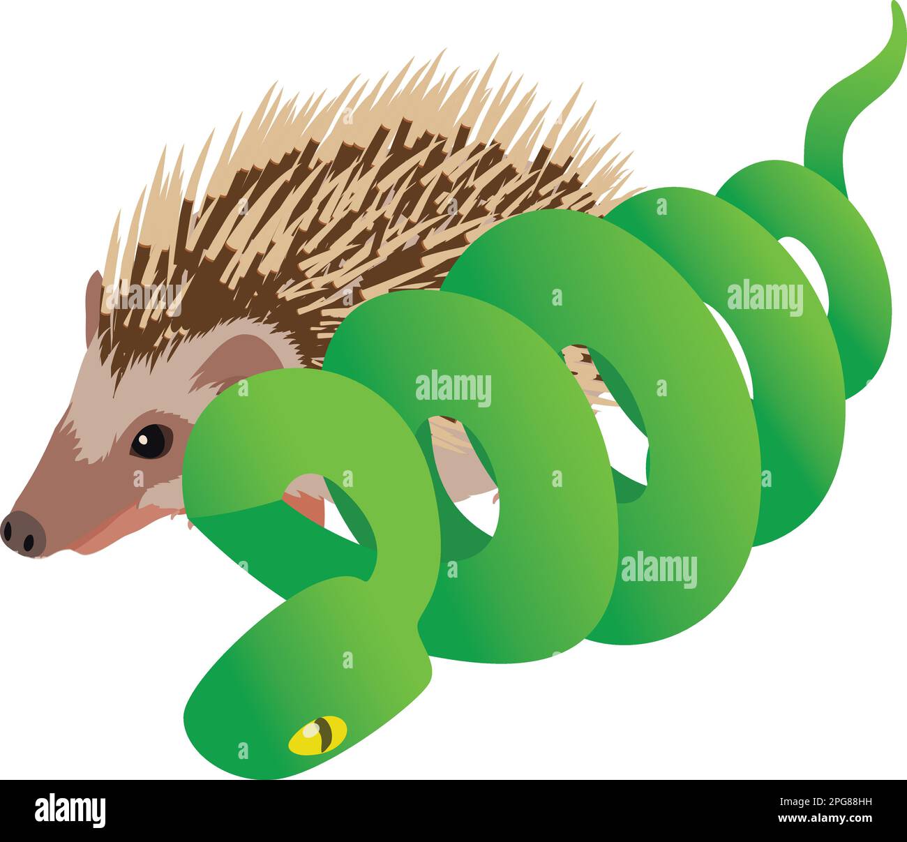 Living world icon isometric vector. Big tree boa near ordinary hedgehog ...