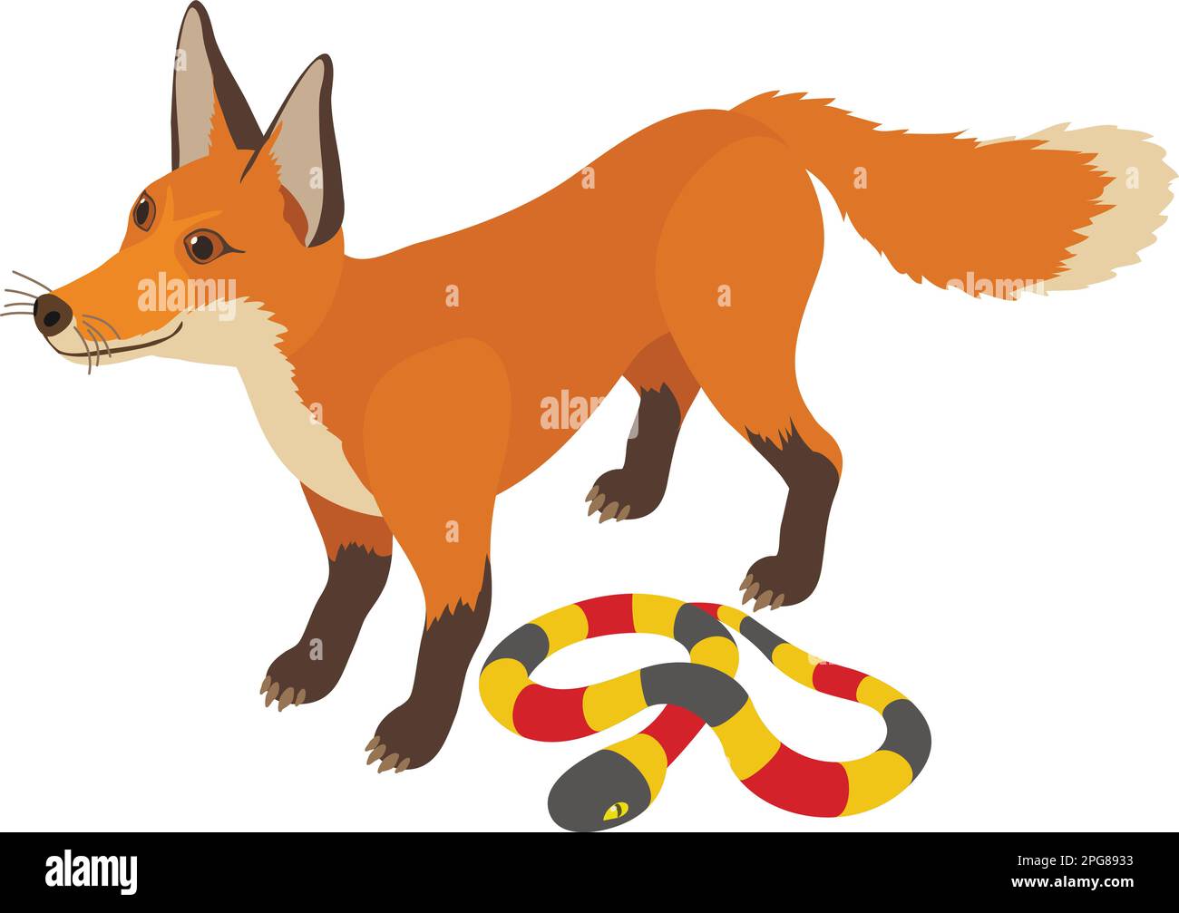 Fox coral Stock Vector Images - Alamy