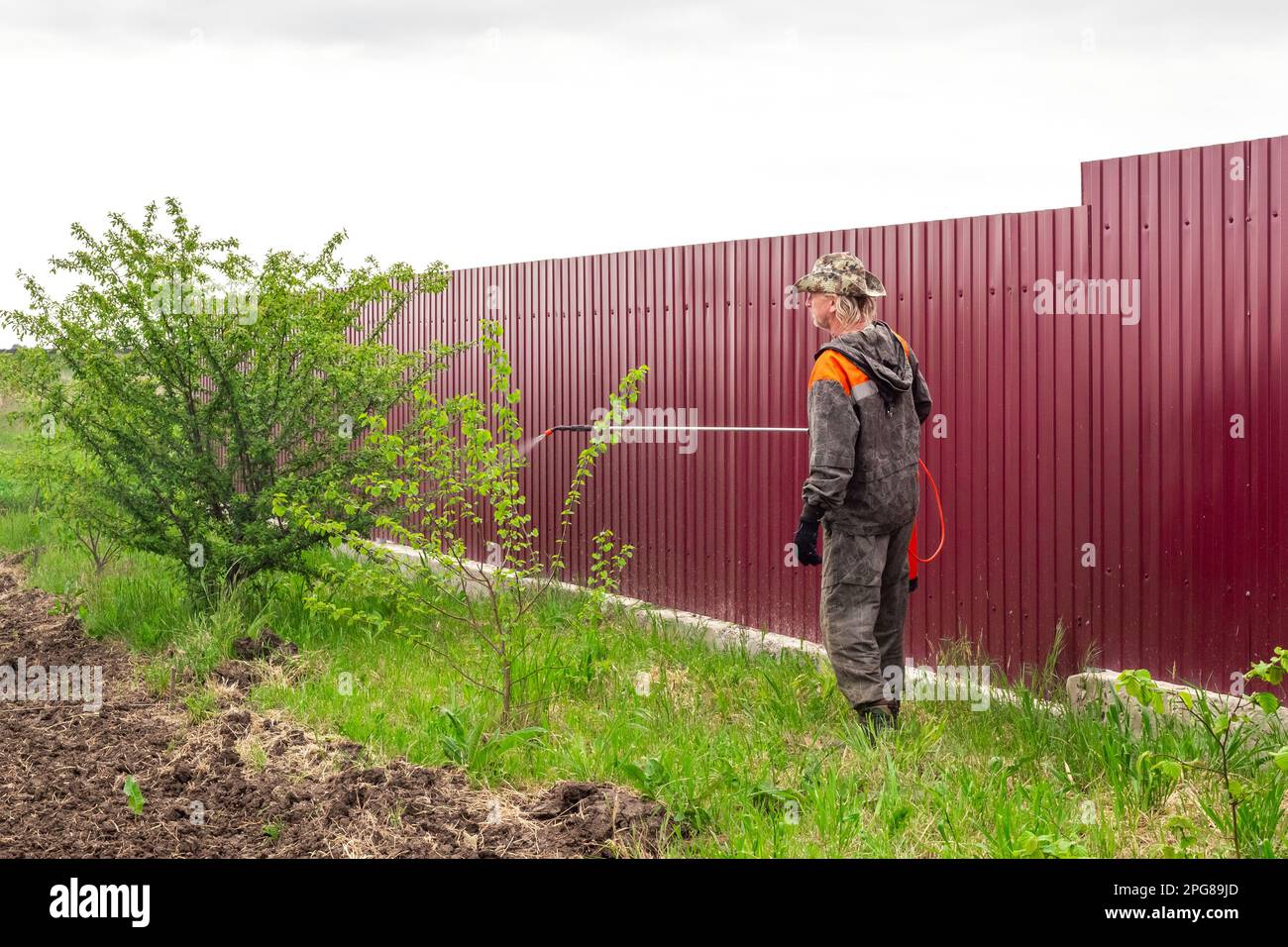 Tree spraying solution hi-res stock photography and images - Alamy