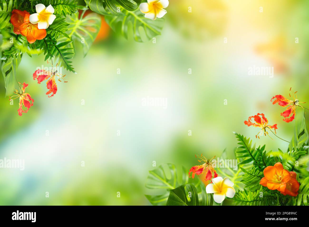Abstract summer tropical foliage and flowers background. Green exotic ...
