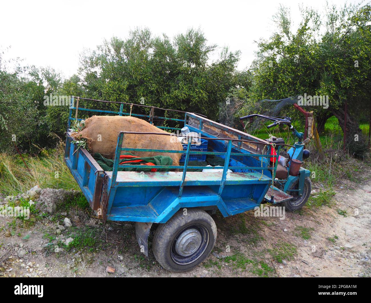 Crete ruins olive trees hi-res stock photography and images - Alamy