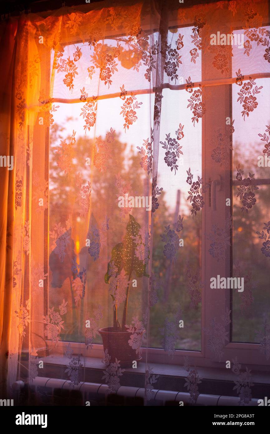 Sunlight falling through a window with a see-through curtain, with a ...