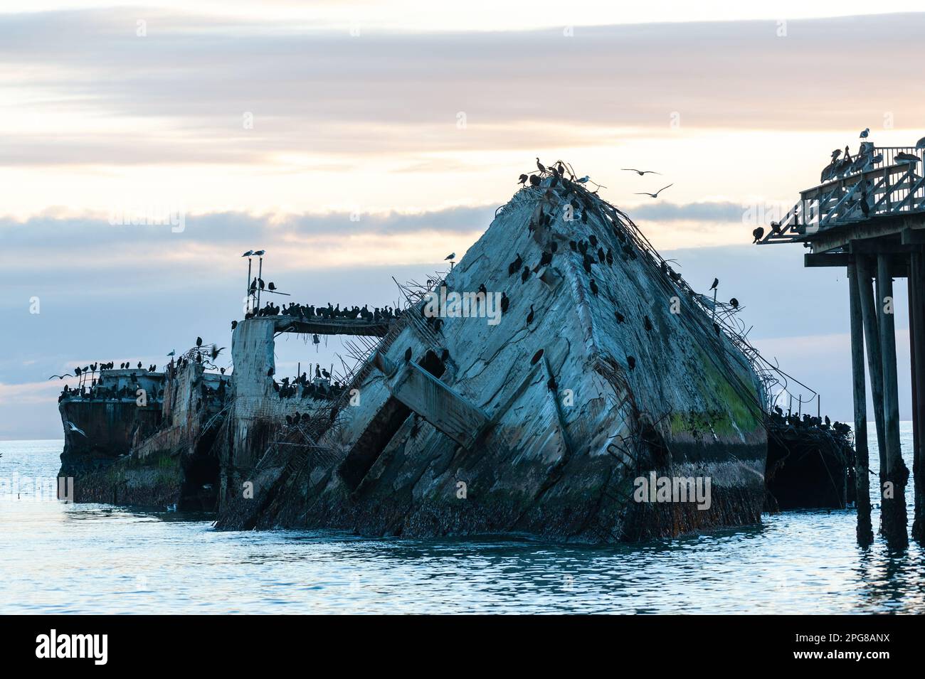 Aptos cement ship hi-res stock photography and images - Alamy