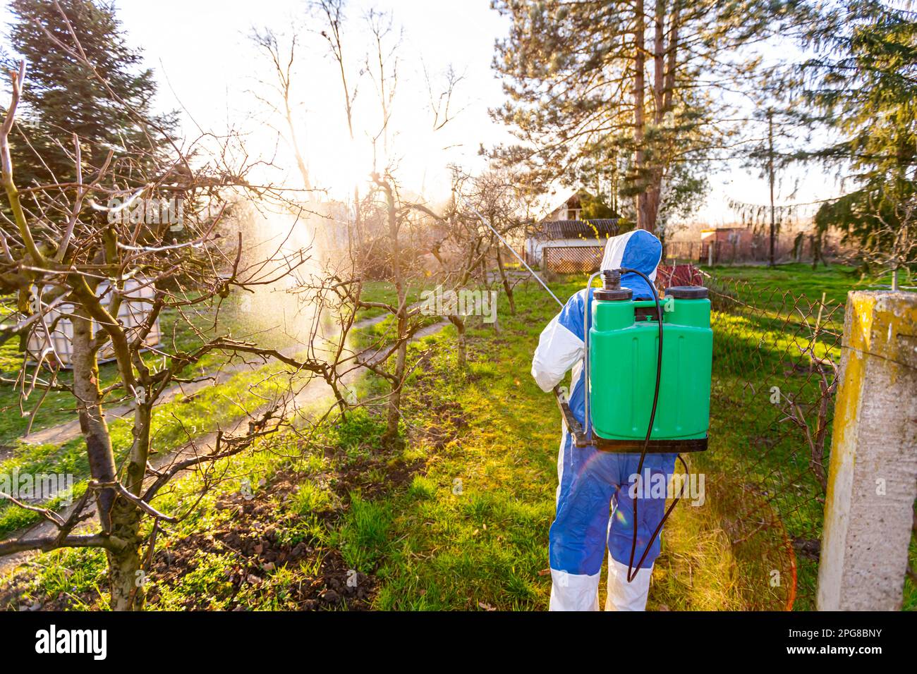 Shot from behind, backlight on farmer with protective clothing sprays ...